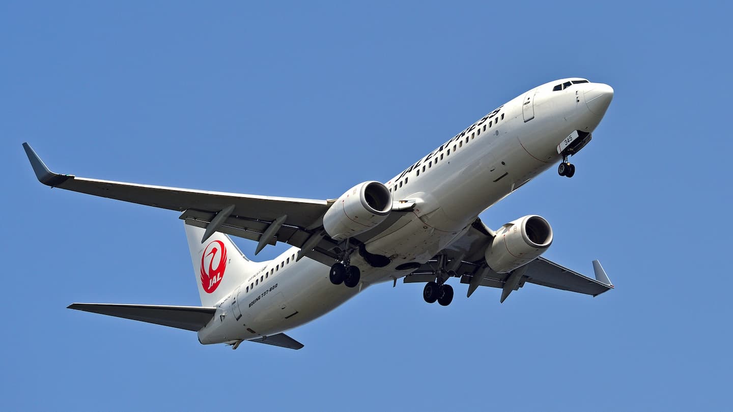 JAL FLY ONポイントの貯め方。お得な活用方法を解説！ | NEWT（ニュート）